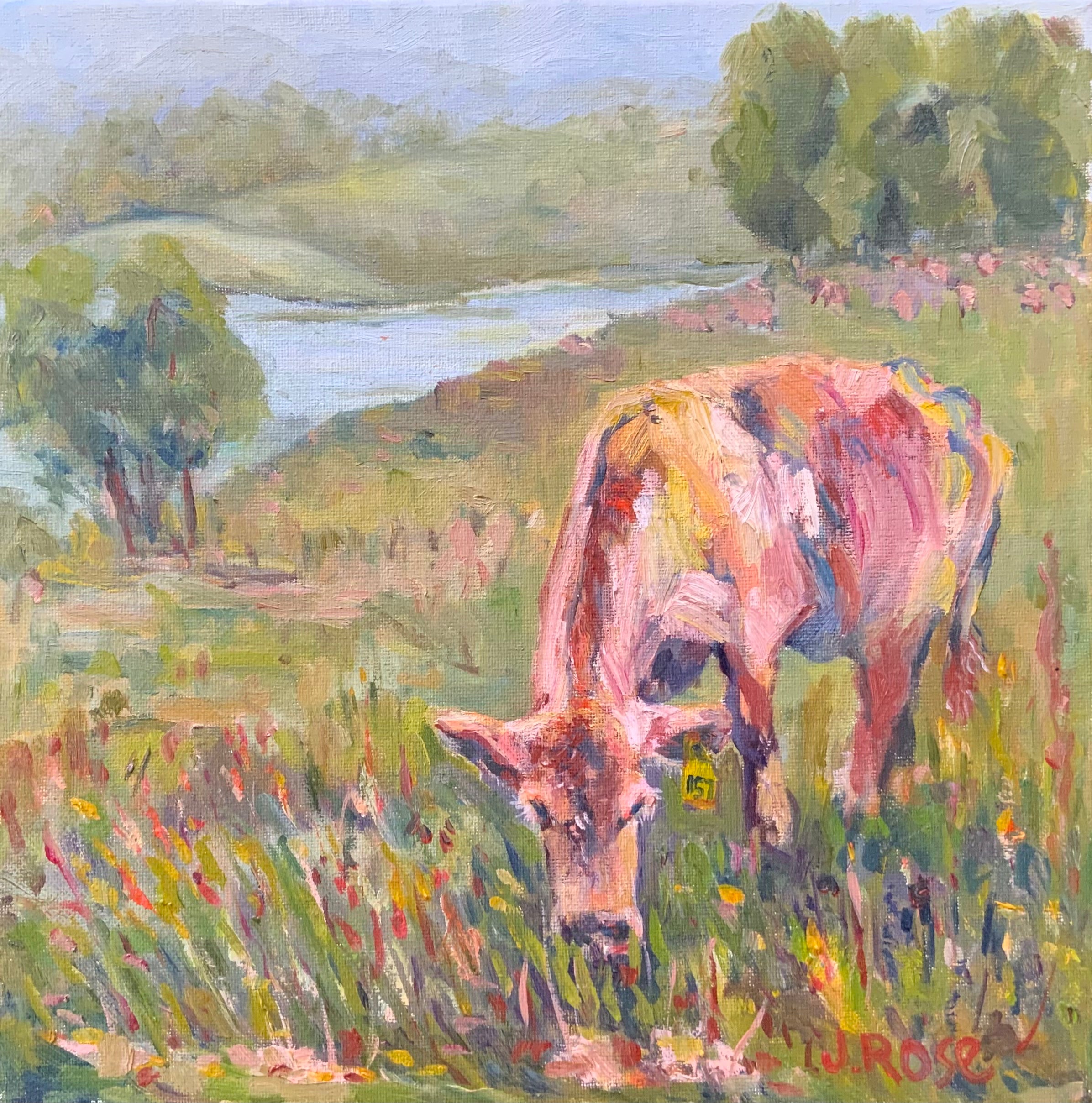 SOLD Collection – Judith Rose Art